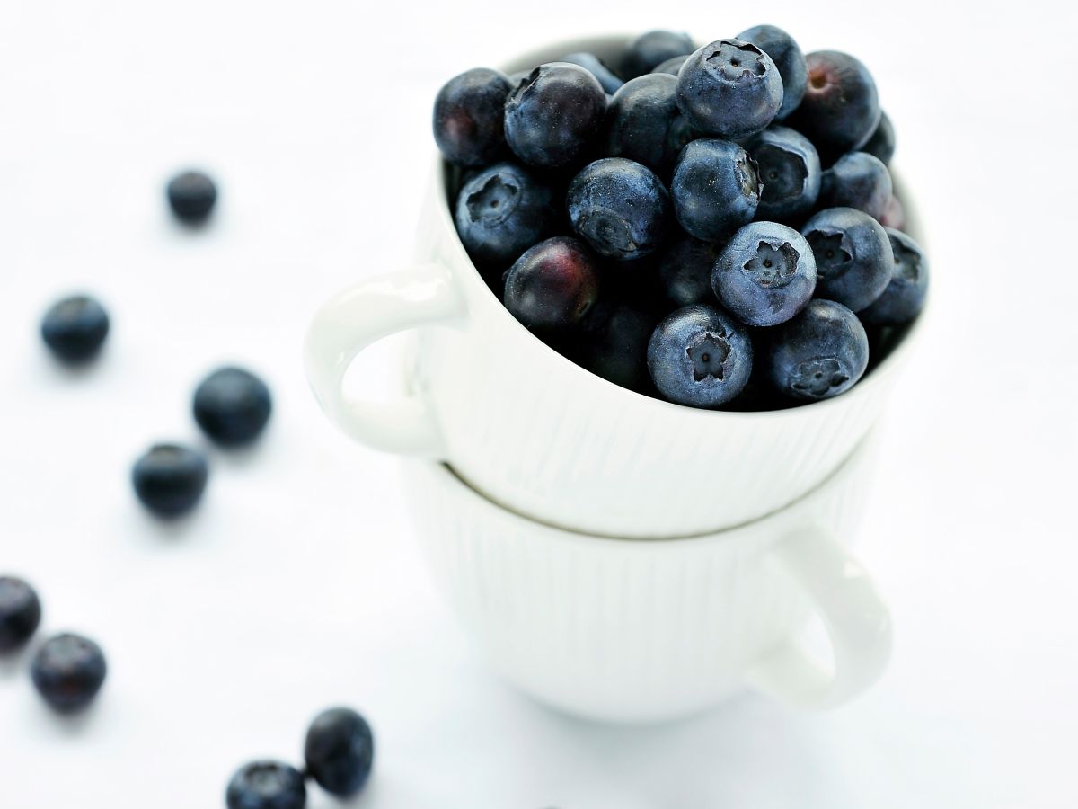 Ingrediënt in de kijker – Blauwe Bessen